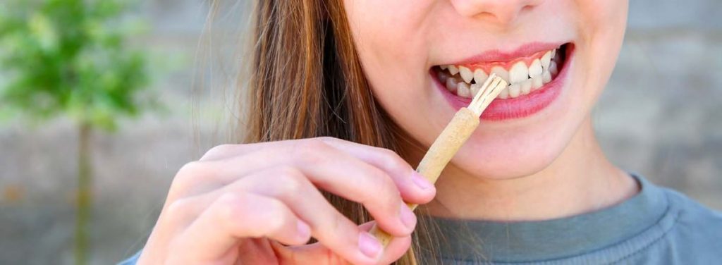 Le Siwak Marocain : Tradition et Hygiène Naturelle - KANZY